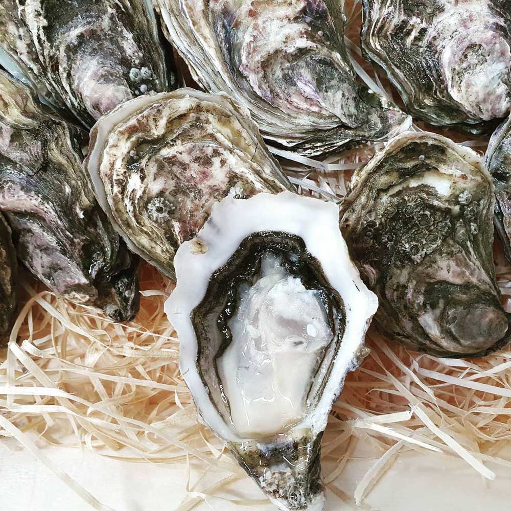 WISK Dubai -French Oysters, Navarre in UAE