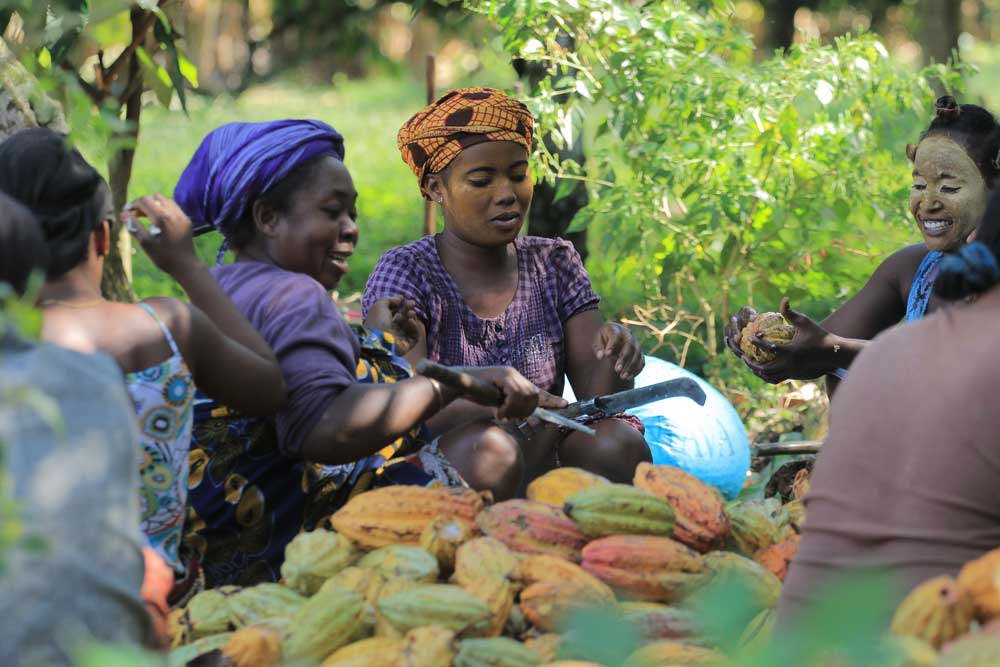 WISK Dubai - Couverture chocolates and pralines, Chocolaterie de l ...