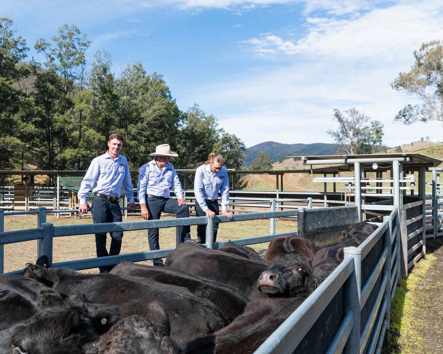 WISK Dubai - Australian Black Angus Beef, Macka's in UAE