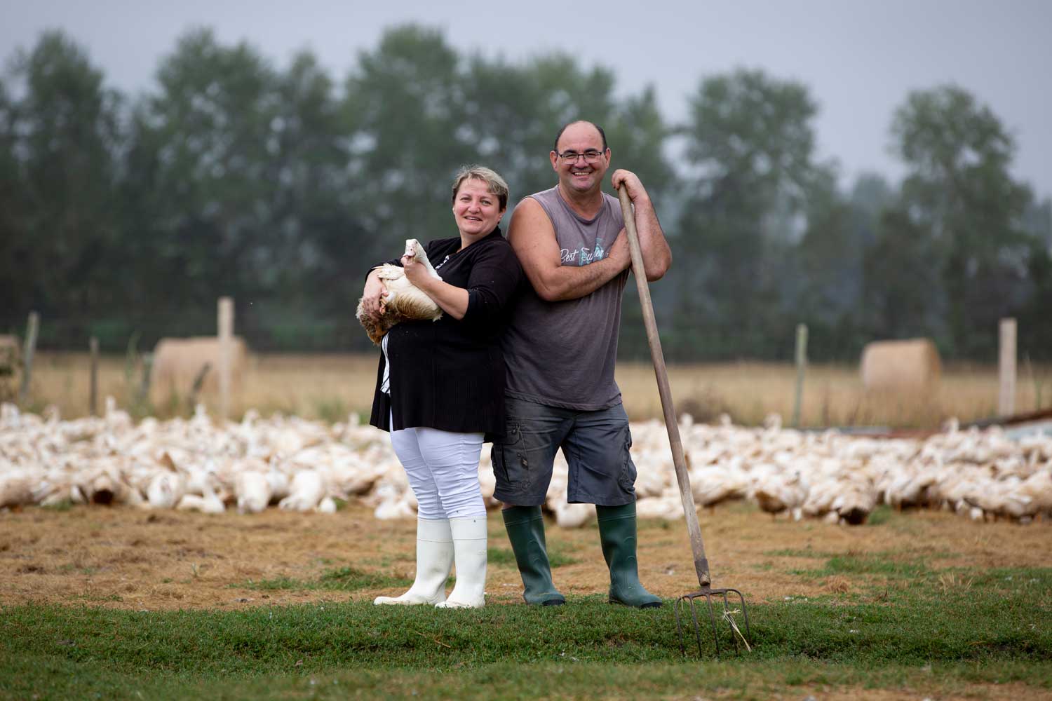 WISK Dubai - Finest Foie Gras, Duck, Chicken and Wild Scallops, Rougié ...