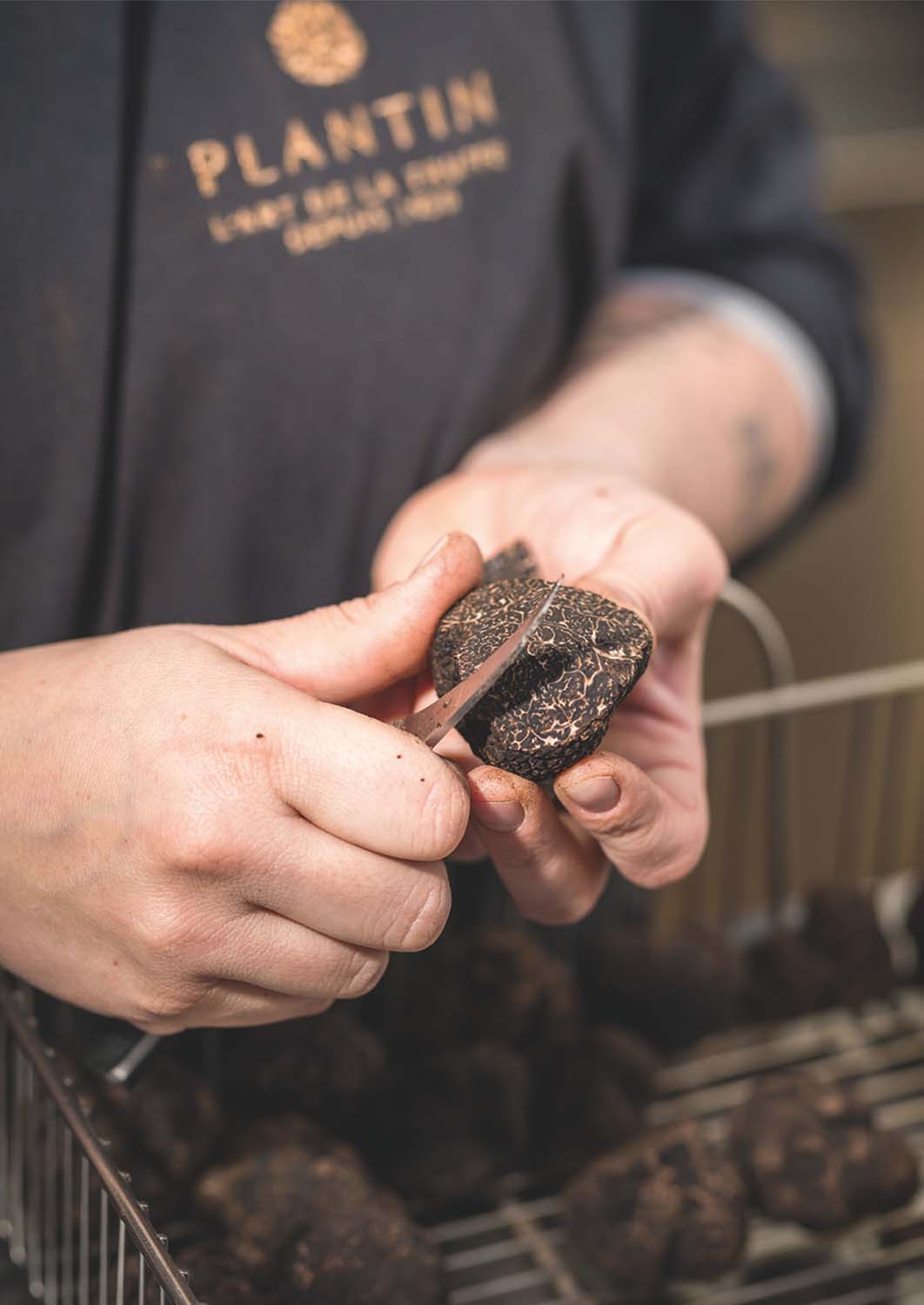 WISK Dubai - French Truffles, Preserved Truffle Products and Mushrooms ...