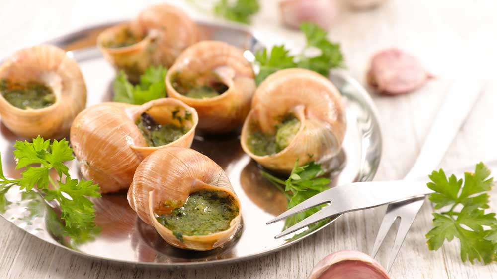 WISK Dubai - Escargot, Burgundy Snails and Shells, Romanzini in UAE.