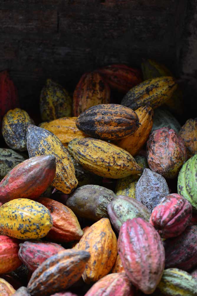 WISK Dubai - Couverture chocolates and pralines, Chocolaterie de l ...