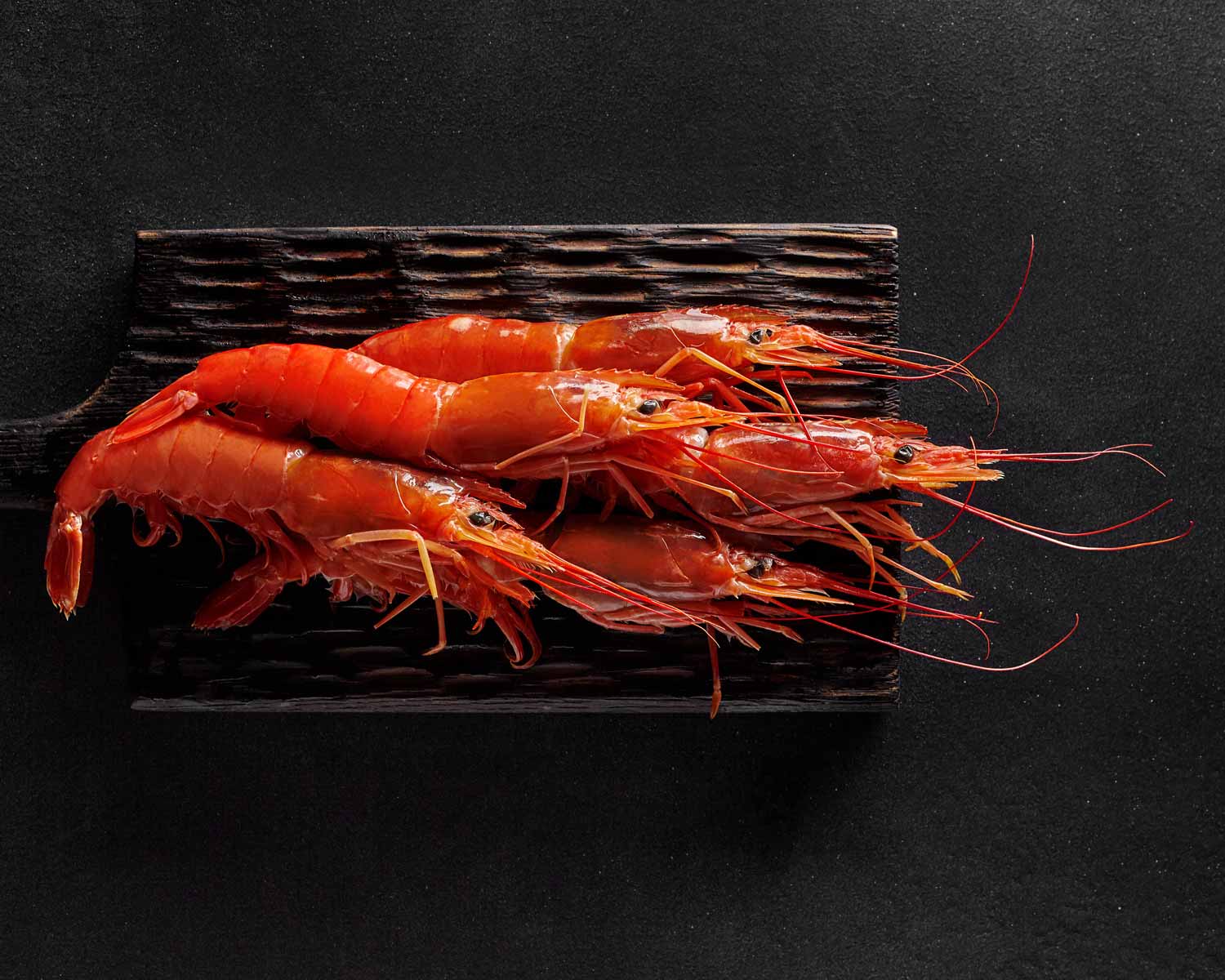 WISK Dubai - Italian Frozen Seafood, Antonio Vasile Santo Spirito in UAE WISK Dubai - Italian Frozen Seafood, Antonio Vasile Santo Spirito in UAE