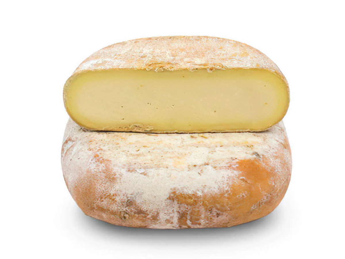 WISK Dubai - Spanish Farmhouse Cheese, Cultivo in UAE.