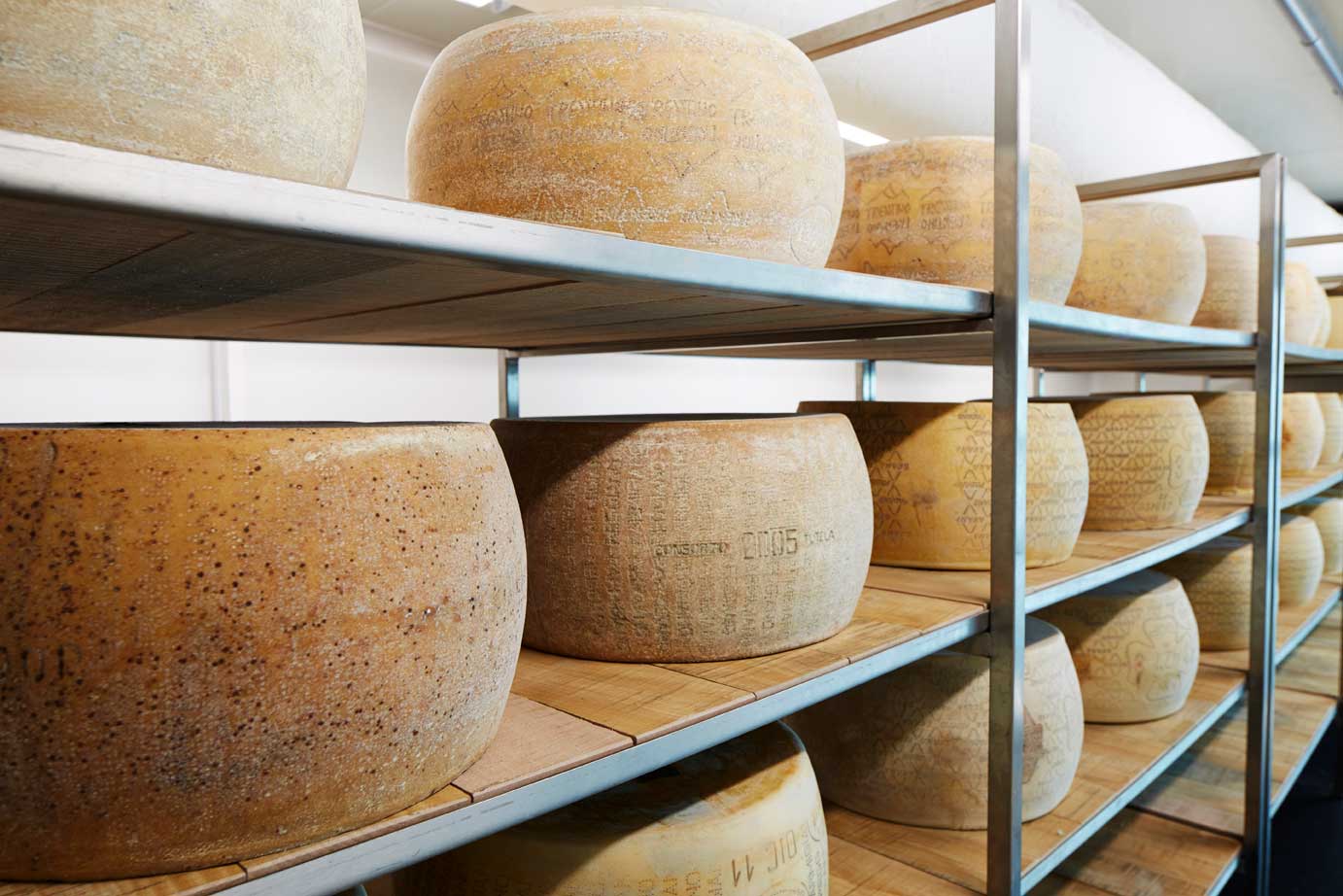 WISK Dubai - Belgian Cheese, Van Tricht in UAE