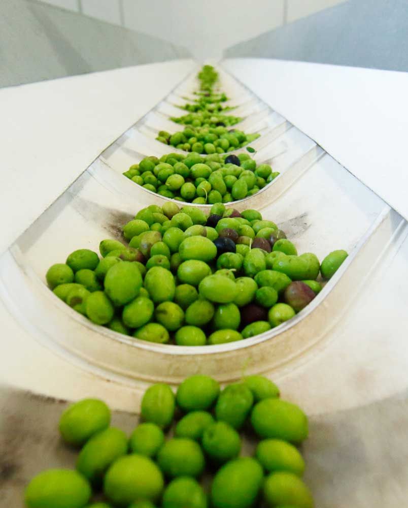 Wisk - Transformational Ingredients - Fine Food Distributor in United ...