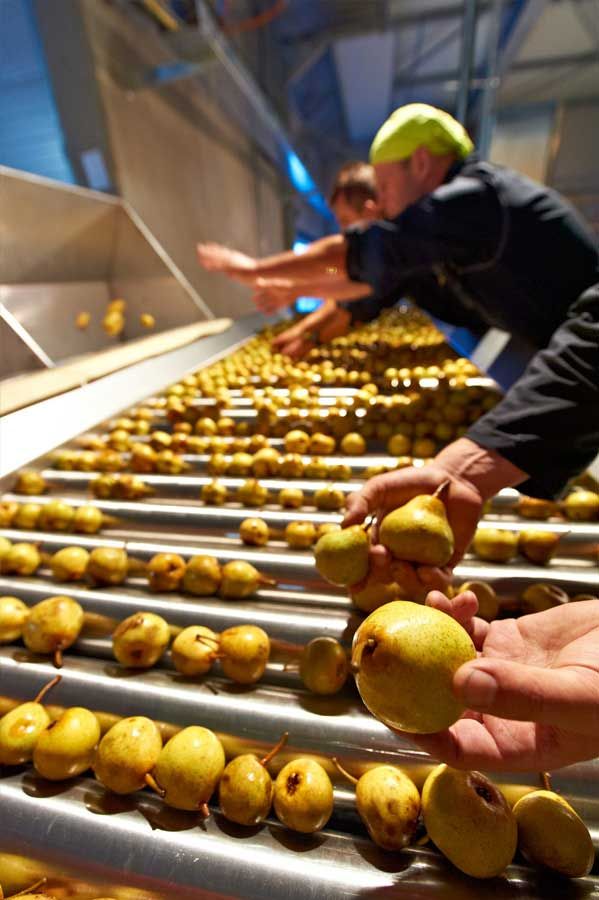Wisk - Transformational Ingredients - Fine Food Distributor in United ...